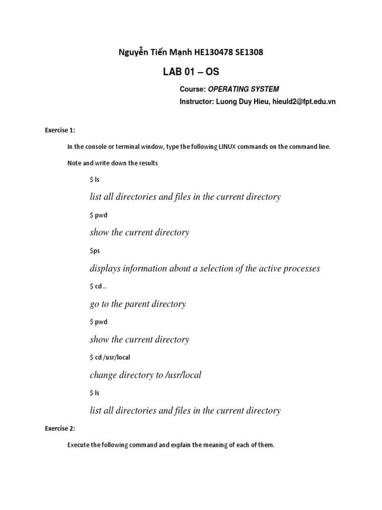 Lab 01 - OS | PDF | Directory (Computing) | Computer File