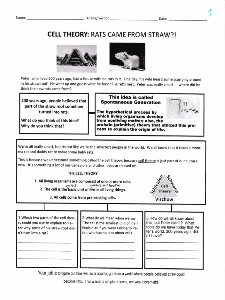 Cell Theory Activity | PDF | Science | Scientific Theories