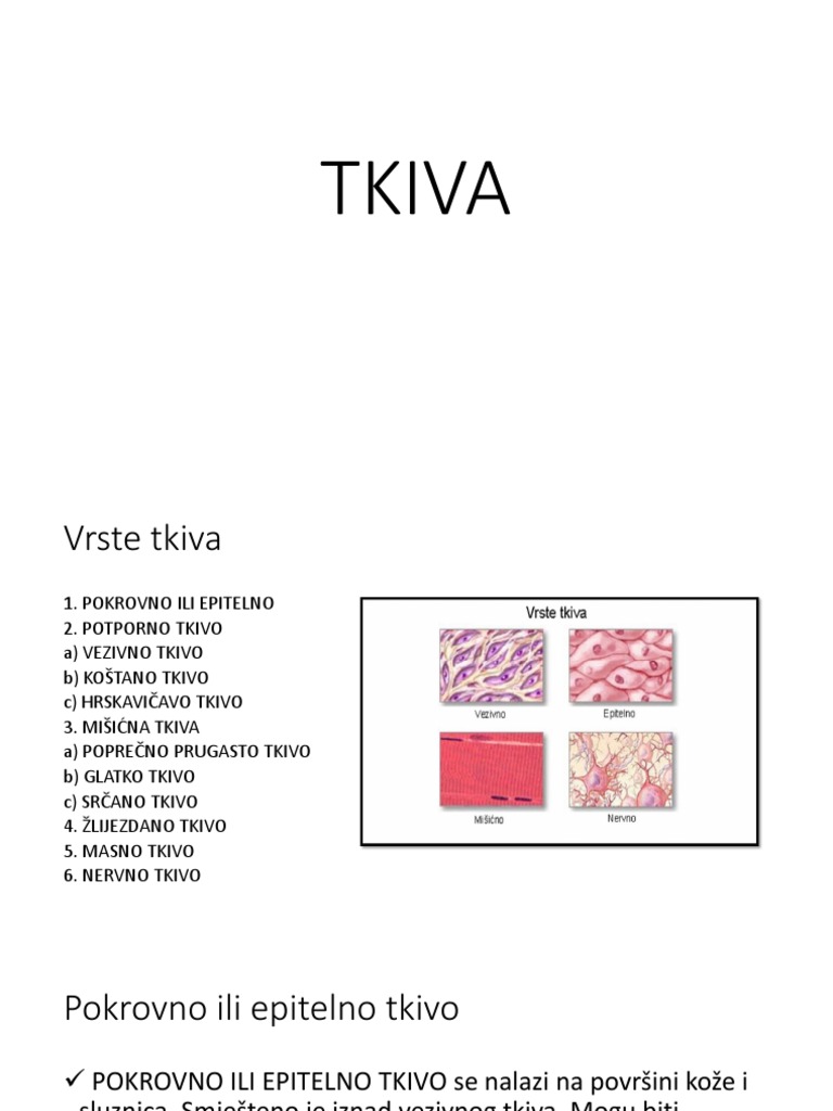 Tkiva | PDF