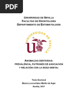 Proceso Alveolar | PDF | Hueso | Anatomía