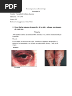 Diaz Apaza Anthony Jesus-Diascopia - Vitropresion | PDF ...