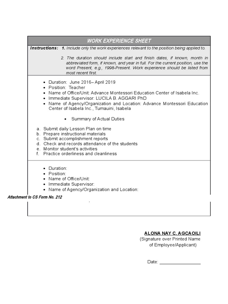 Work Experience Sheet | PDF