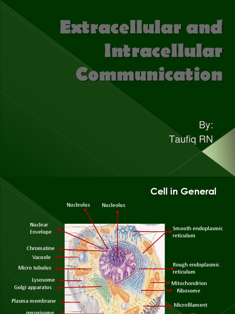 Extracellular and Intracellular Communication | PDF | Cell Signaling | Signal Transduction