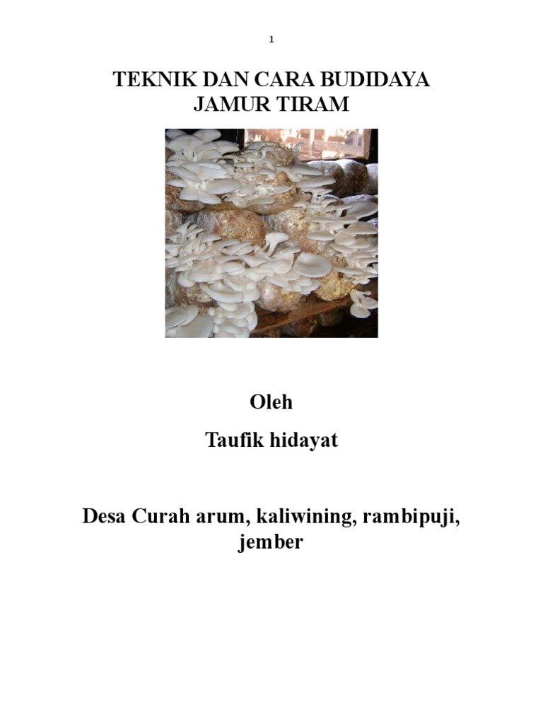 Teknik Dan Cara Budidaya Jamur | PDF