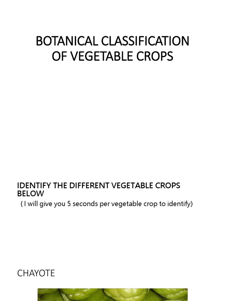 Botanical Classification of Vegetable Crops | PDF