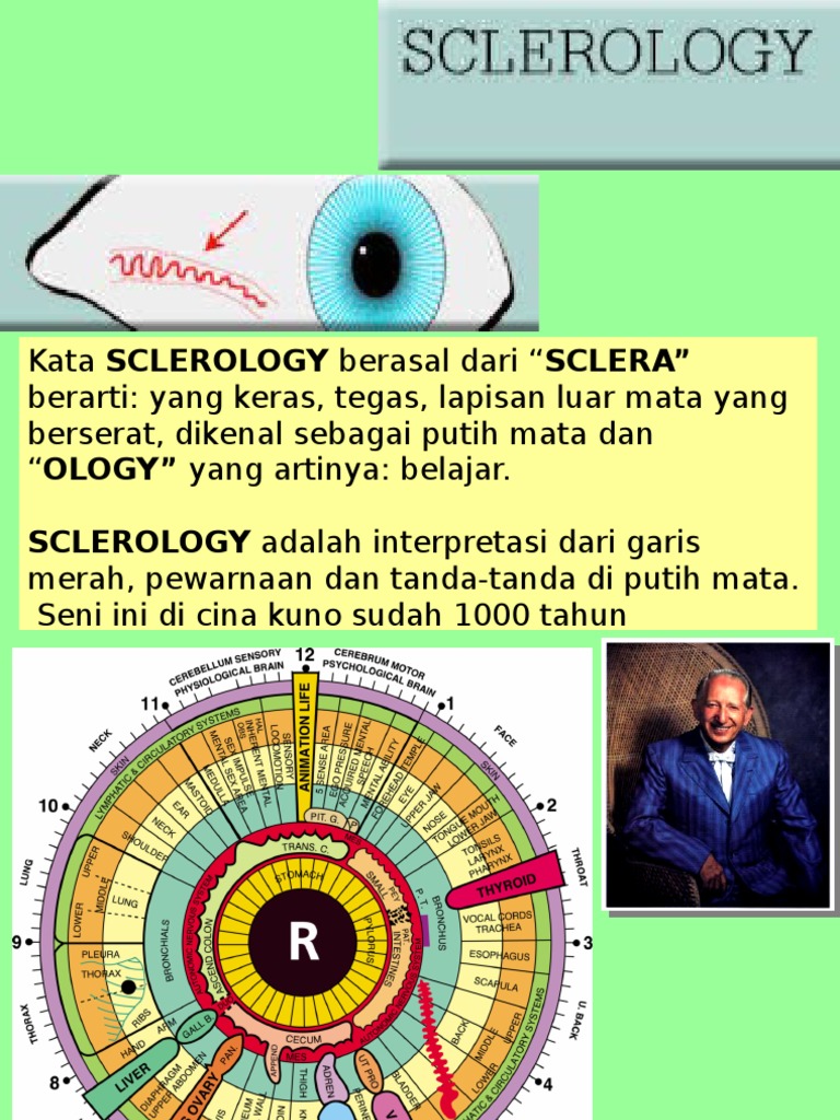 Sclerology Miller Revisi | PDF | Eye Color | Human Anatomy