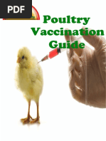 Medicine Chart For Chickens | PDF | Candidiasis | Medical Diagnosis