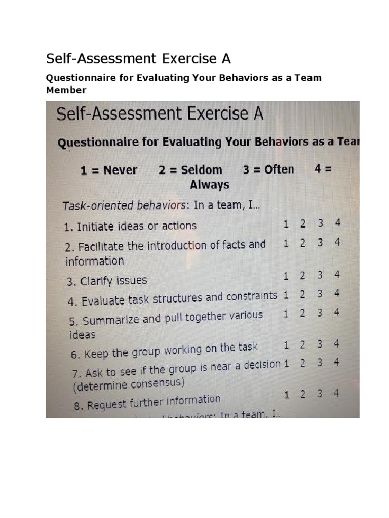 Team Member Self-Assessment Quiz | PDF