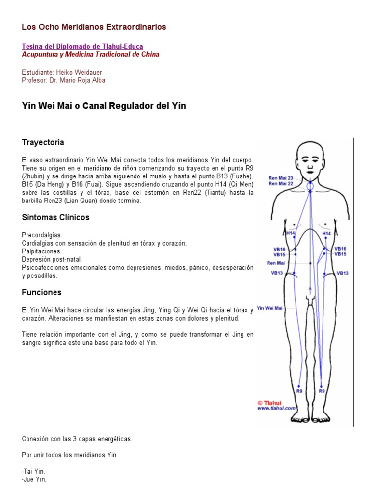 Yin Wei Mai o Canal Regulador Del Yin | PDF | Qi | Yin y yang