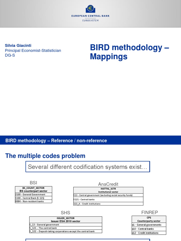 BIRD Methodology Mappings | PDF | Investing | Economies