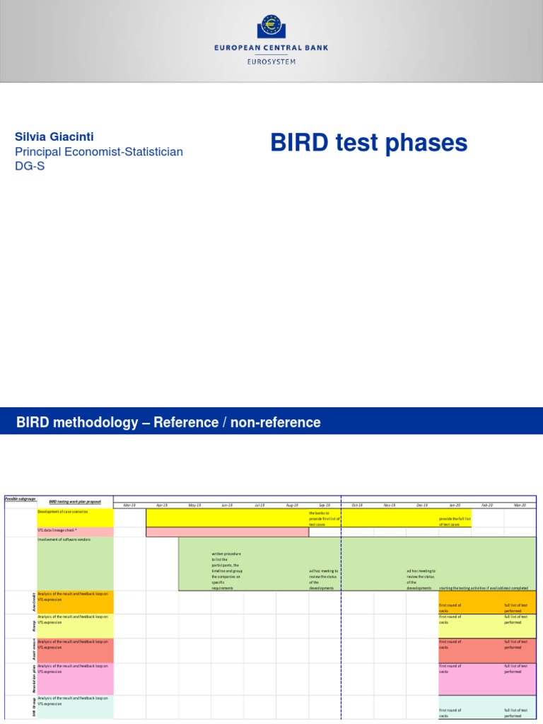 BIRD Test Phases: Silvia Giacinti | PDF | Systems Engineering ...