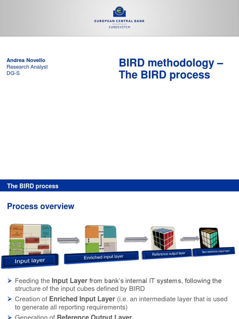 BIRD Methodology - The BIRD Process | PDF