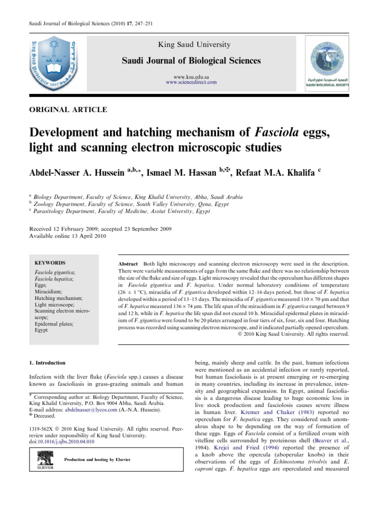 Fasciola Eggs | PDF | Buffer Solution | Microscope