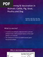 Goat Vaccine Schedule | PDF