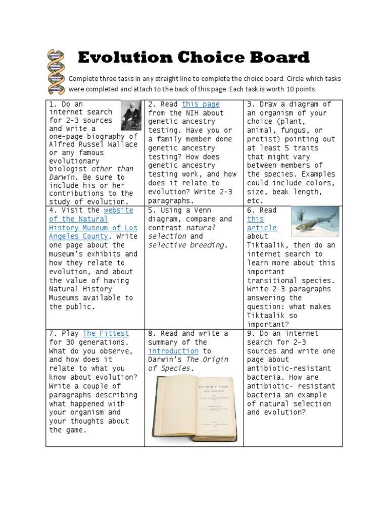 Evolution Choice Board | PDF | Natural Selection | Evolution
