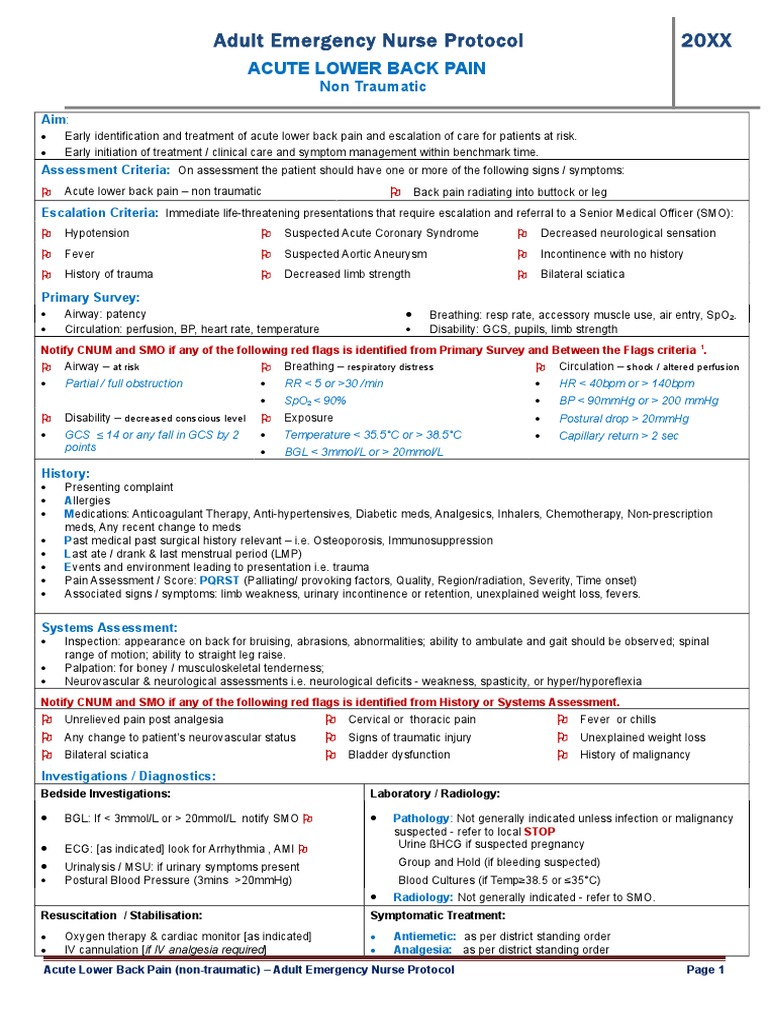 Acute Lower Back Pain Protocol | PDF | Back Pain | Emergency Department