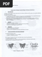 Anatomie Du Bassin Osseux DR Messakop | PDF | Appareil locomoteur ...