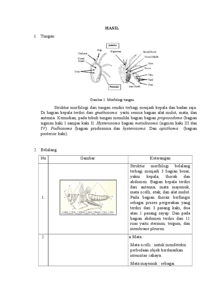 Bab Pembahsan Acara 1 Bopt | PDF