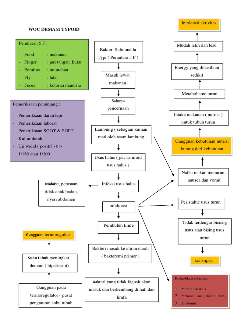 Woc Demam Typoid | PDF