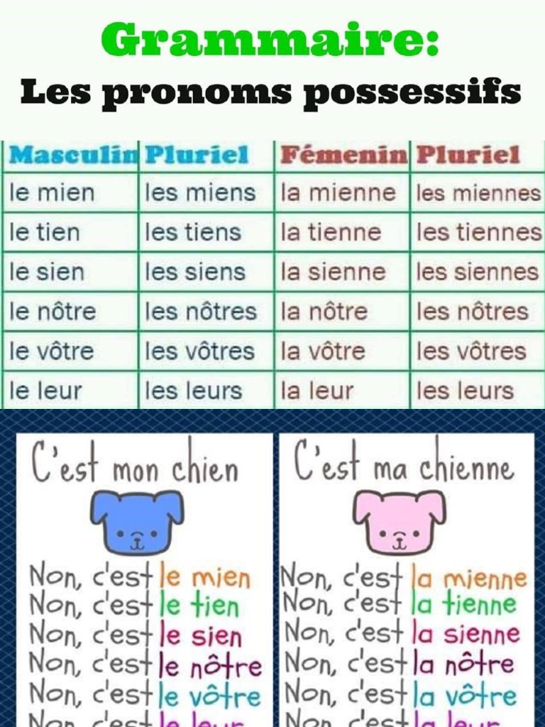 Pronoms Possessifs | PDF