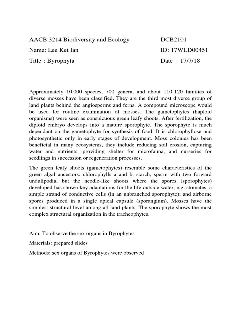 Bio Report 8 | PDF | Moss | Fern