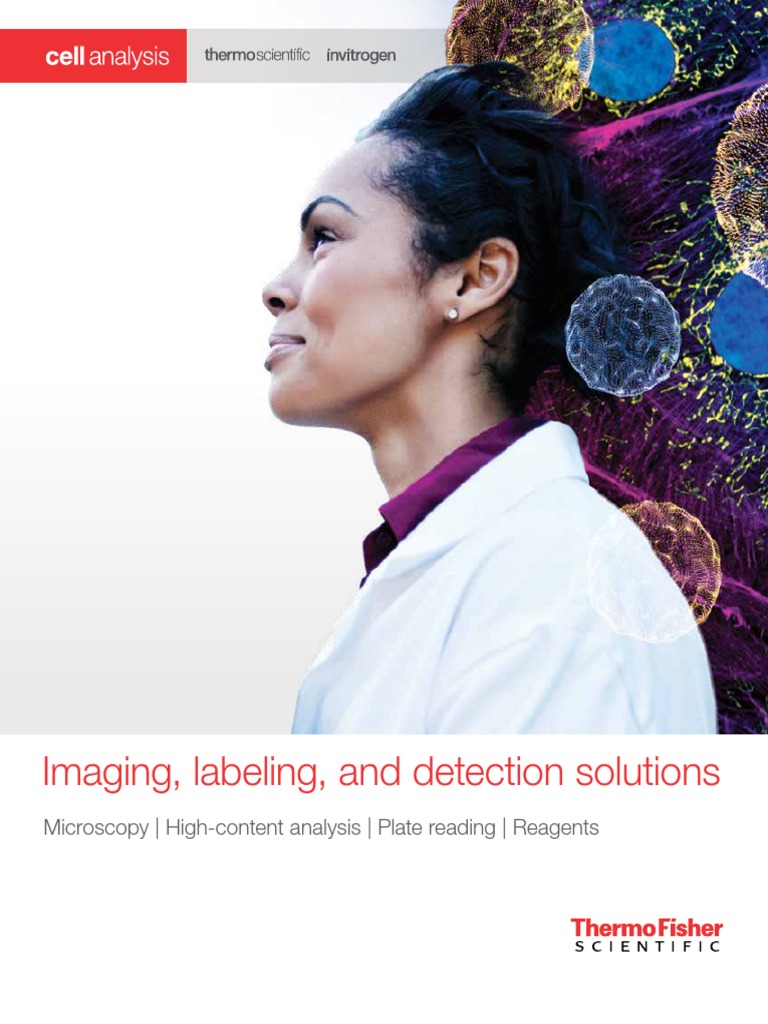 Evos Cell Imaging Analysis Systems Brochure PDF | PDF | Apoptosis ...