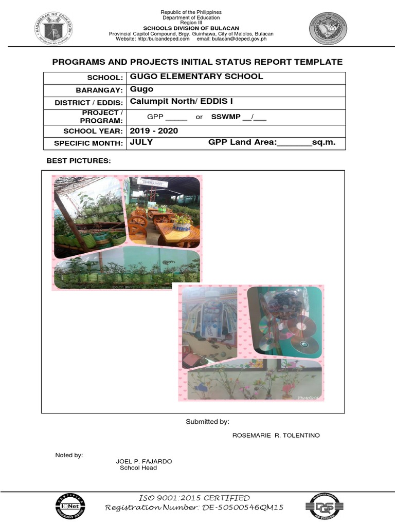 GUGO ES GPP and SWMP INITIAL STATUS REPORT TEMPLATE | PDF