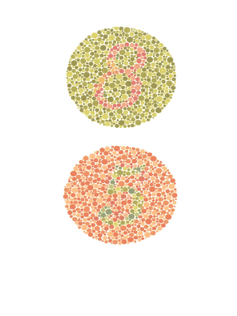 Ishihara Chart 2 Page | PDF