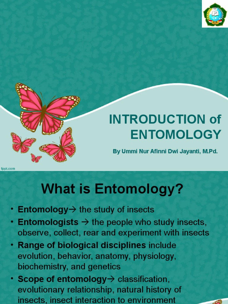 Entomology Introduction | PDF | Insects | Biology