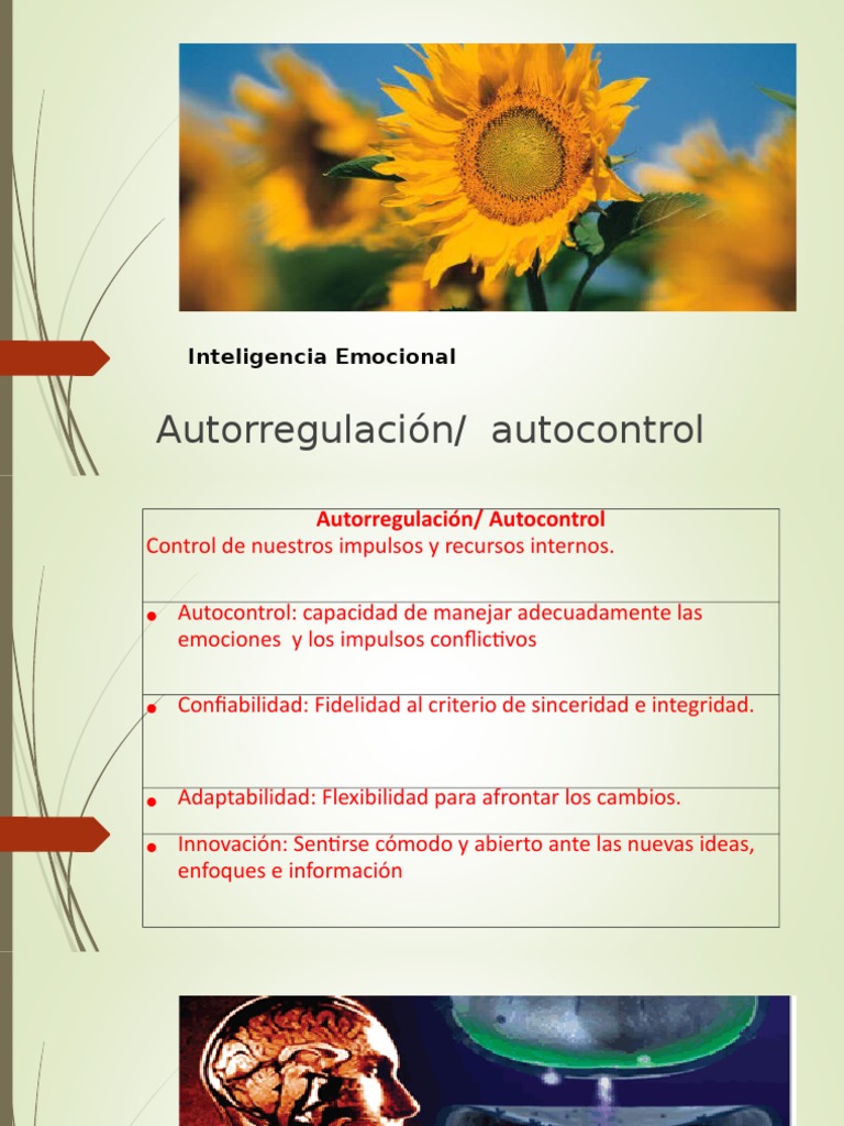 AUTORREGULACION 7°BASICO.ppt | Autorregulación emocional | Las emociones