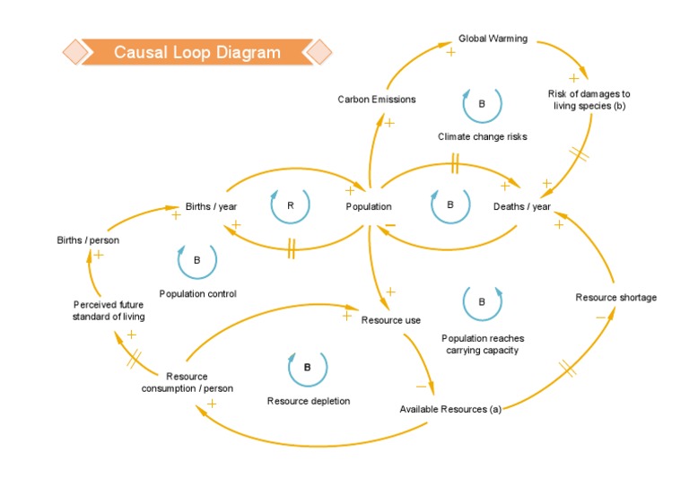 Causal Loop Diagram | PDF
