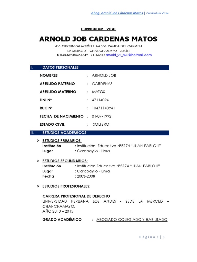 Curriculum Vitae Arnold Modfiicado | PDF | Perú | Gobierno