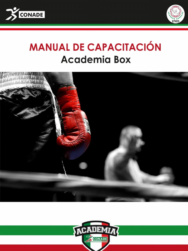 Manual Boxo Guia Completa 2019 | PDF | Adultos | Deportes