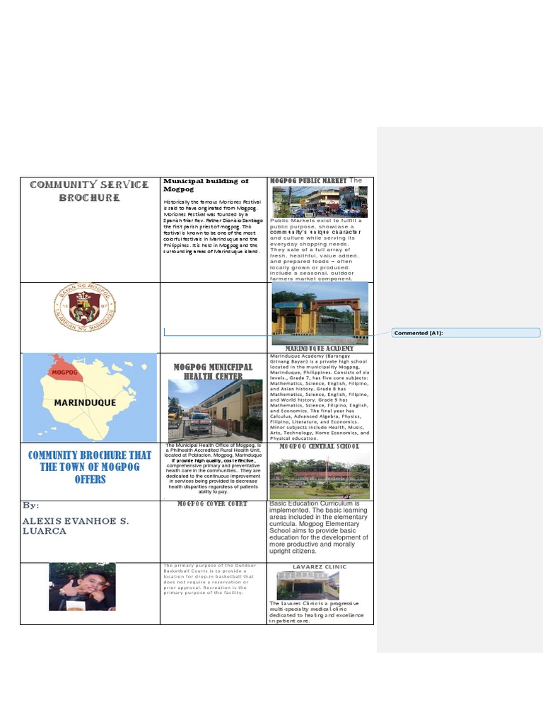 Community Service Brochure Format | PDF | Health Care | Learning