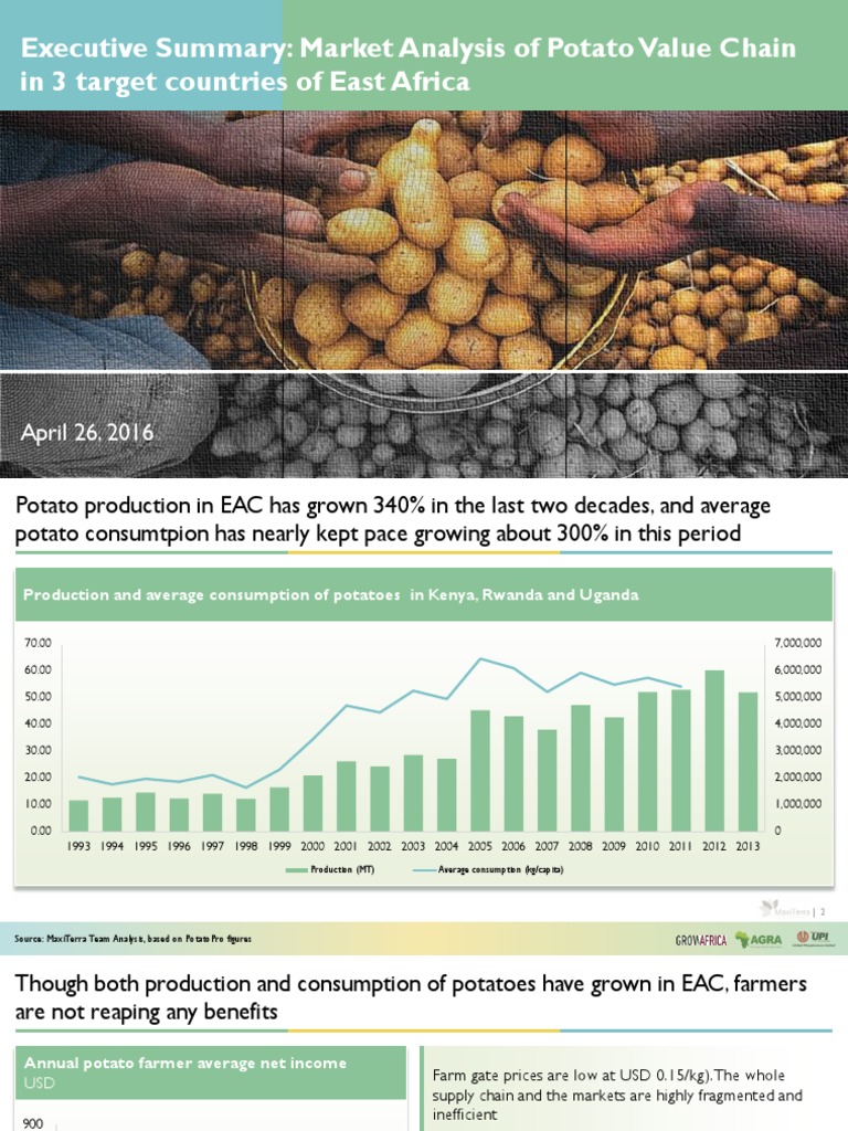 East Africa Potato Value Chain Insights | PDF | Agriculture | Value Chain