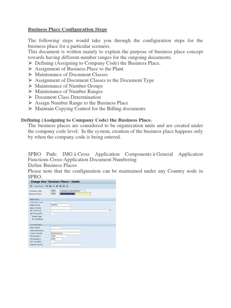 Business Place Configuration | PDF | Invoice | Computing