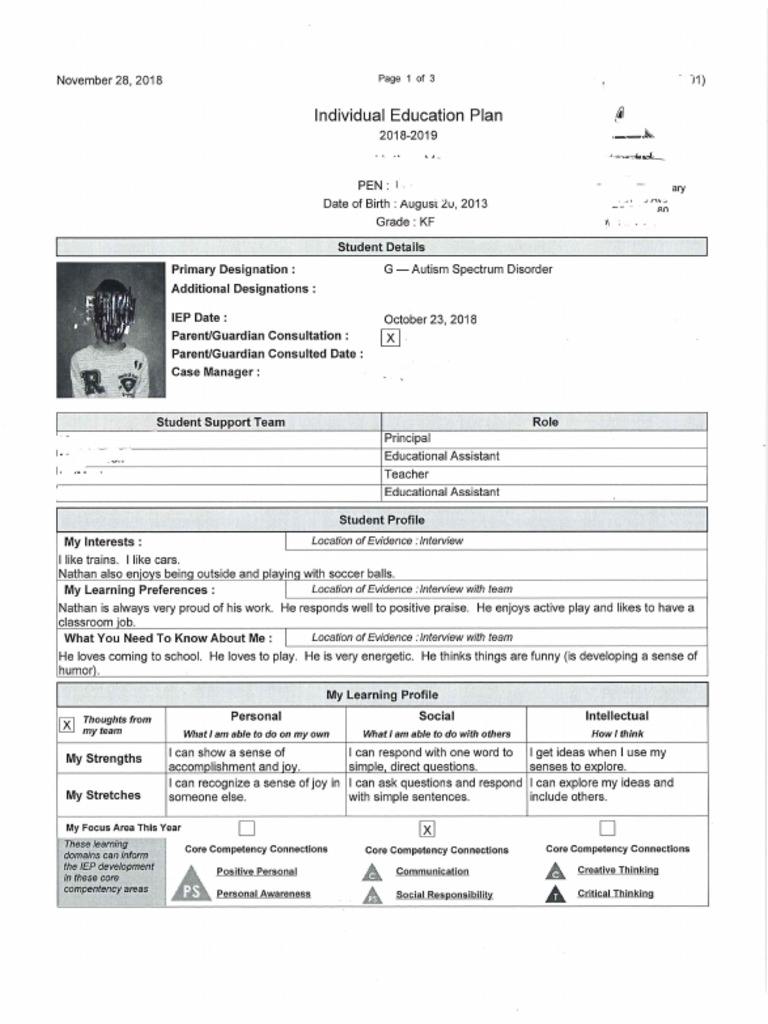 CB Iep Example | PDF