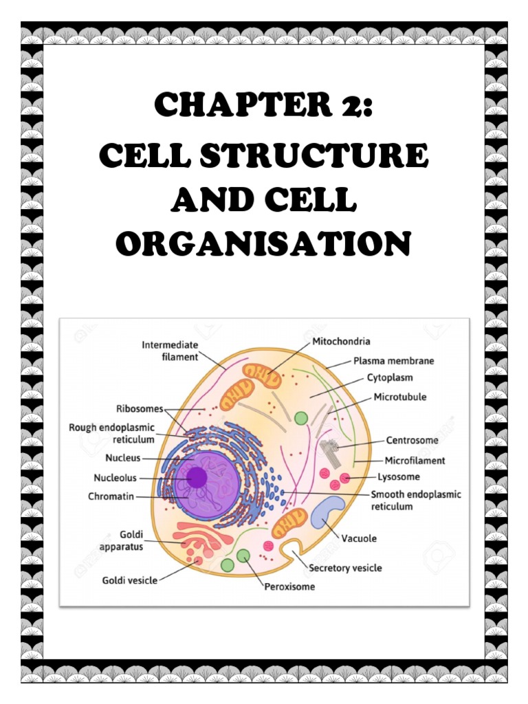 Cell Structure and Cell Organisation | PDF
