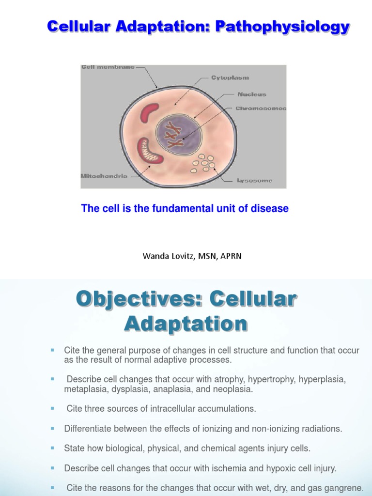 Cellular Adaptation: Pathophysiology: The Cell Is The Fundamental Unit ...