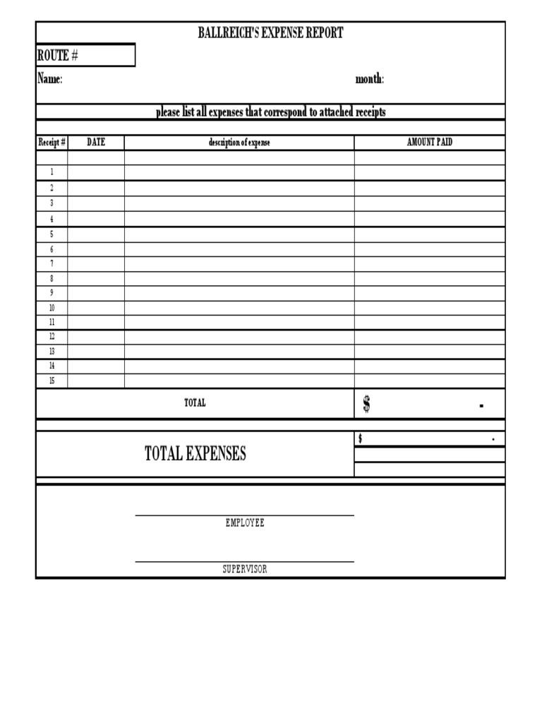 Monthly Sales Expense Report | PDF