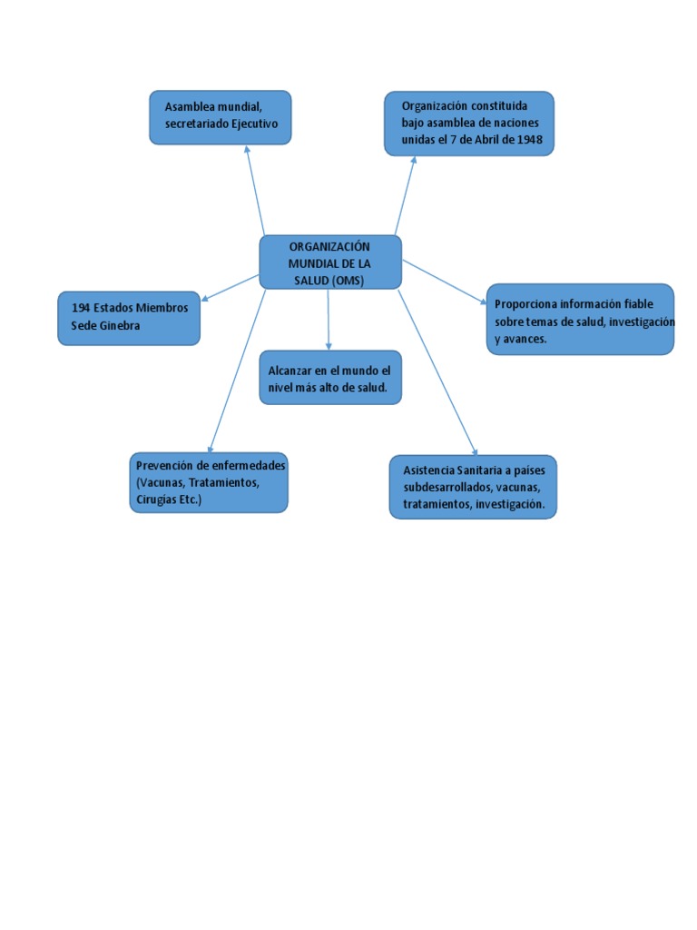 Mapa Conceptual OMS