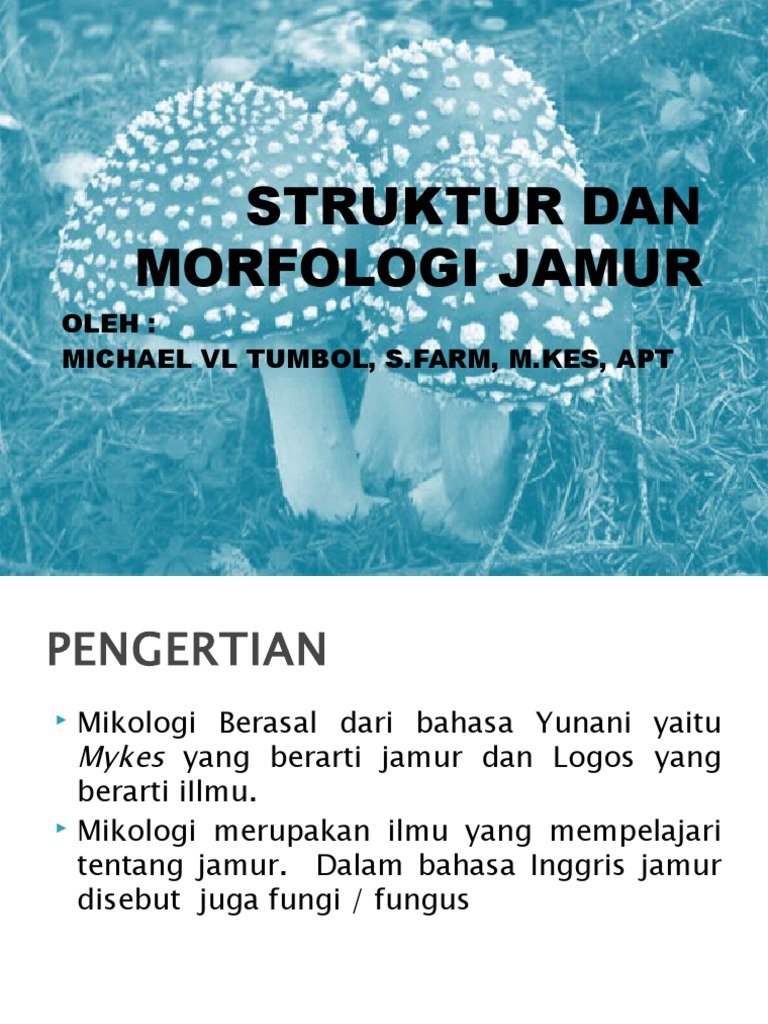 Struktur Dan Morfologi Jamur | PDF