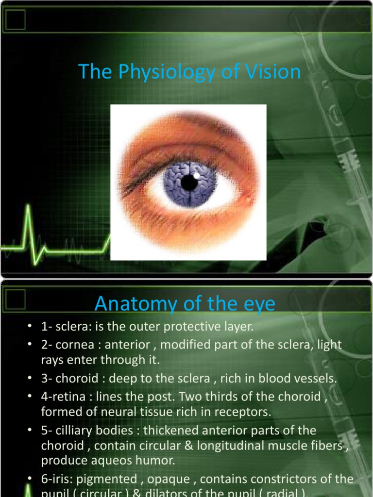 The Physiology of Vision | PDF | Retina | Lens (Optics)