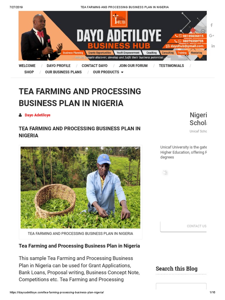 Tea Farming and Processing Business Plan in Nigeria | PDF | Tea | Spamming