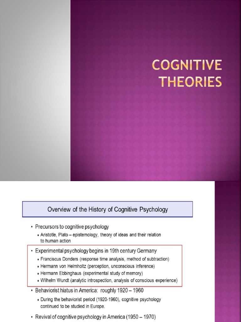 Cognitive Theory | PDF | Cognitive Development | Schema (Psychology)