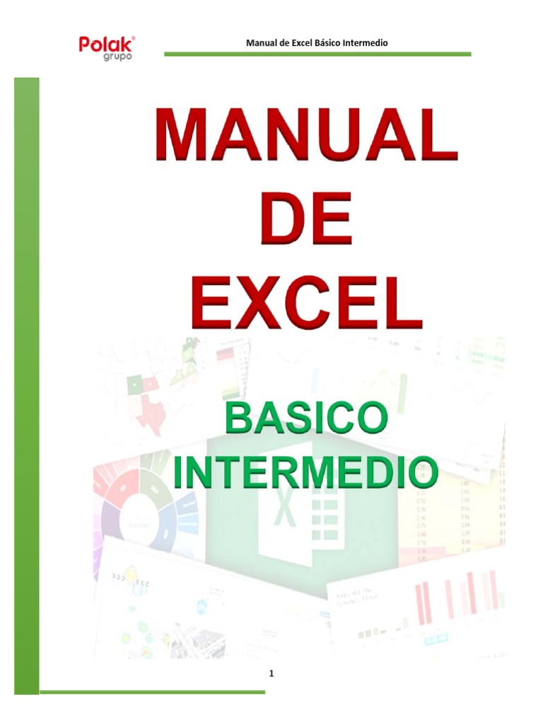 2.manual Excel Básico-Intermedio | PDF | Microsoft Excel | Hoja de cálculo