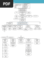 Pa Tho Physiology of Pyelonephritis | PDF | Self-Improvement | Wellness