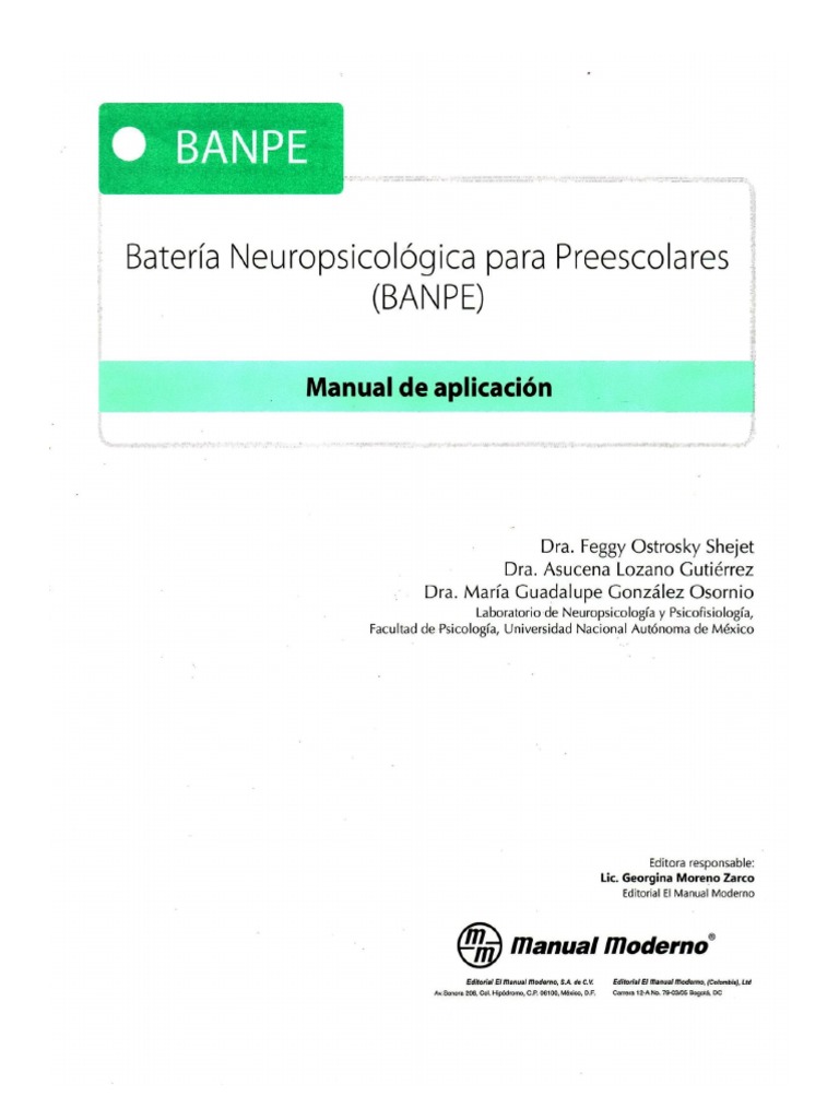 Manual BANPE | PDF