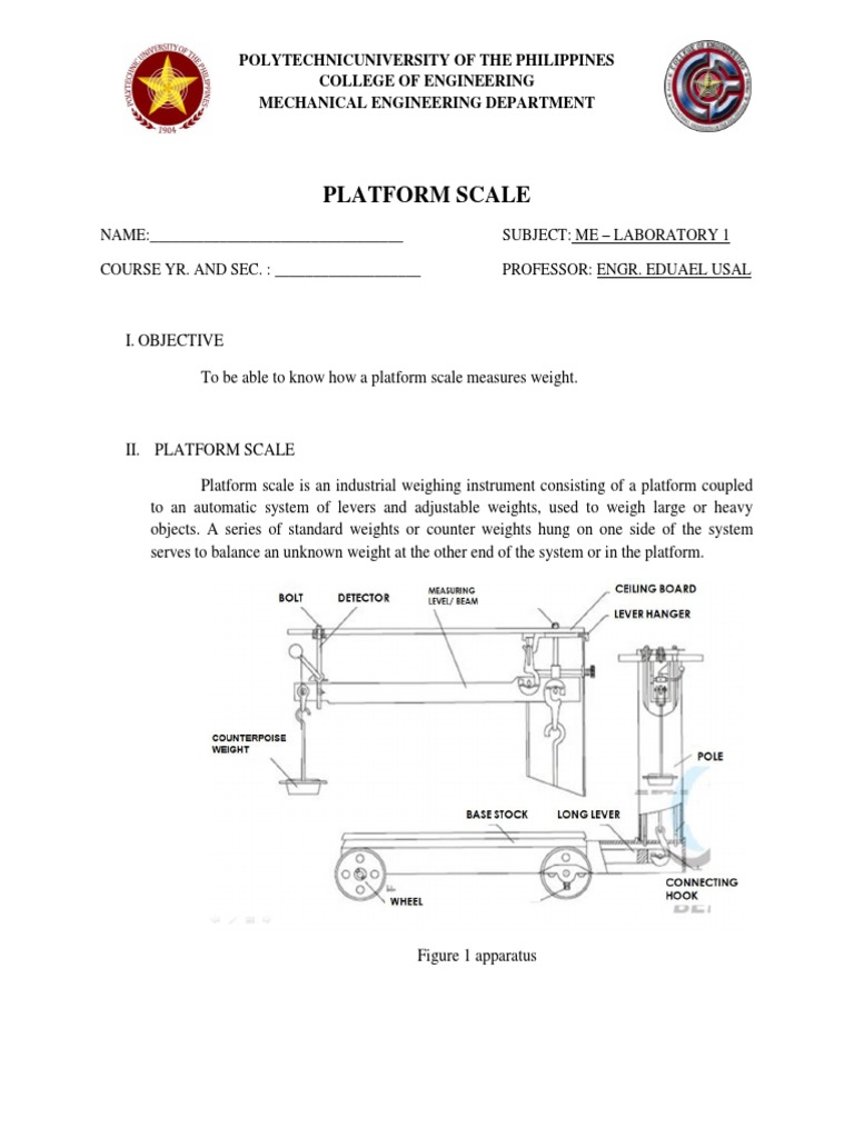 Platform Scale | PDF