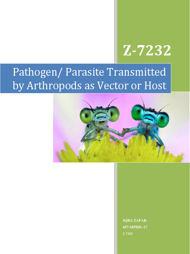 Arthropods as Disease Vectors | PDF | Vector (Epidemiology) | Infection